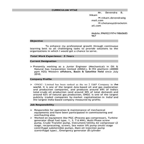 resume-1 | DOC | Business and Finance