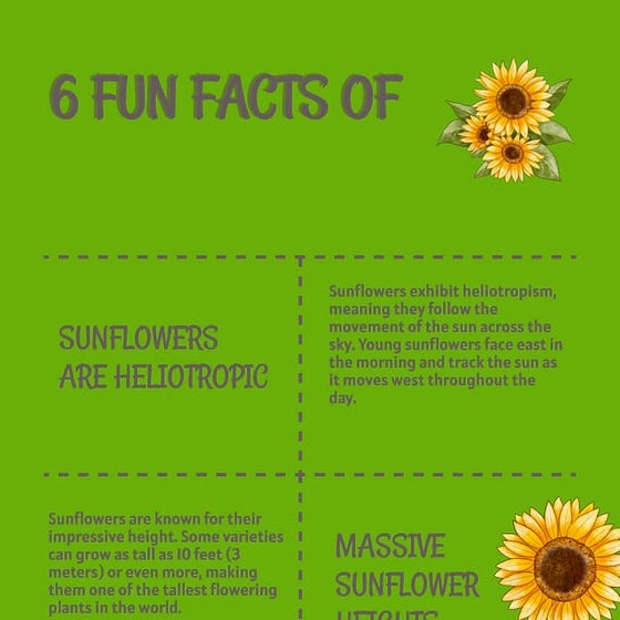 The Ultimate Vertical Gardening Checklist 7 Must Know Tips Presentation ...