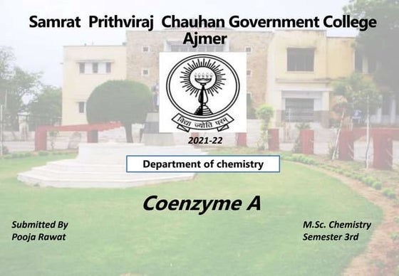 Arenium Ion Mechanism in Aromatic Electrophilic Substitution | PPTX ...