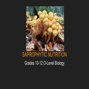 Saprophytic nutirtion | PPTX