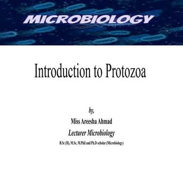 Introduction to Protozoa | PPTX
