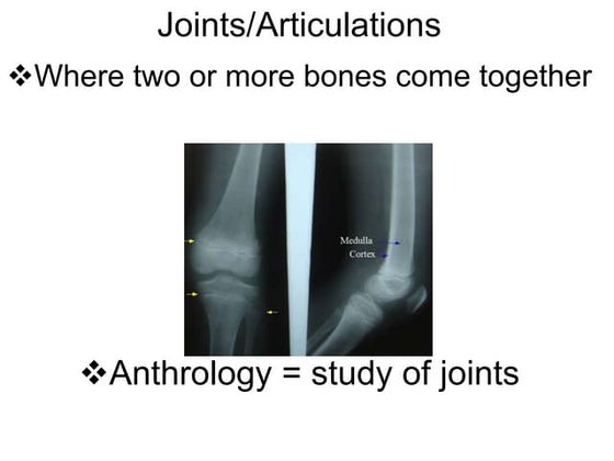 Anatomy of joints | PPT