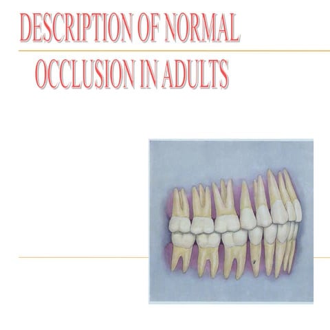 6 keys of occlusion-converted.pdf