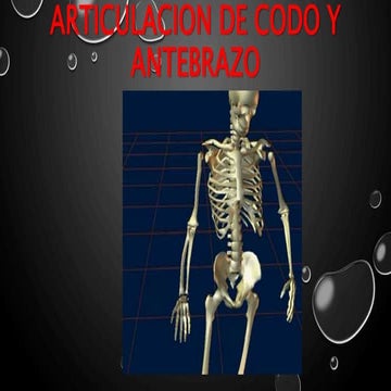 6 KINESIOLOGIA DE LA ARTICULACION DE CODO Y ANTEBRAZO.pptx