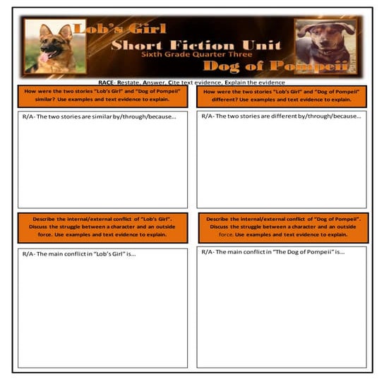 Race scarlet ibis graphic organizer | DOCX