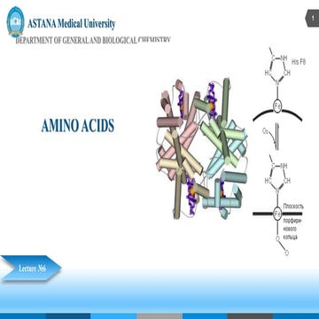 amino acids, proteins, classification of amino acids | PDF