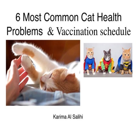 6 most common cat health problems & vaccination schedule | PPT