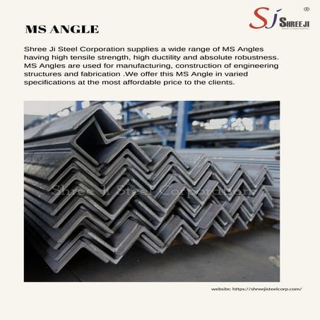MS Angle | PPTX