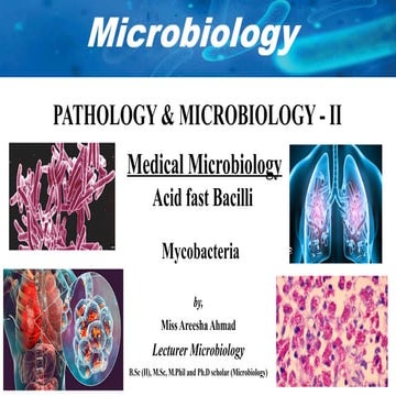DPT - Microbiology II (Acid fast Bacilli) - Mycobacteria | PPTX
