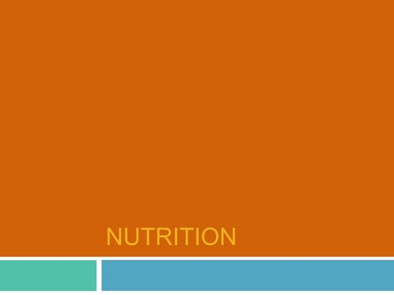 The Six Essential Nutrients: Lesson Plan And Worksheet | PDF