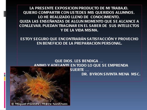 Desarrollo Embrionario, Blastula, formación del blastoporo | PDF