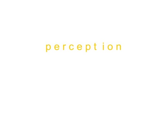 Individual behavior and perception | PPT