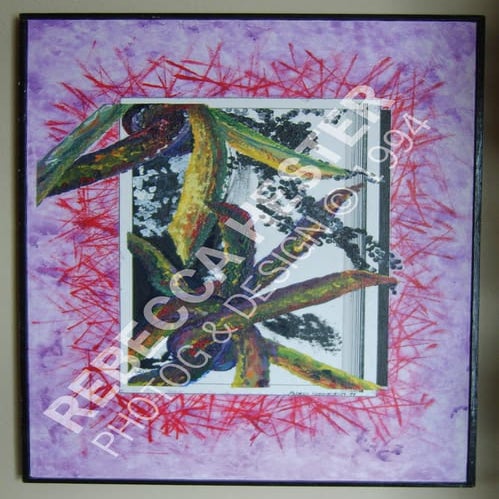 6 Point Barbed Wire 1994 | PDF