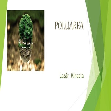 6_poluarea.pptx