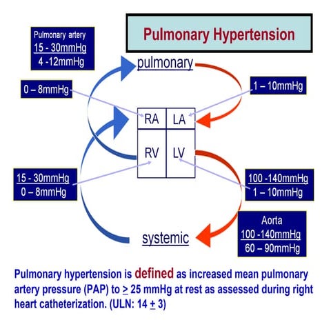 Diagnosis & Classification of Pulmonary Hypertension