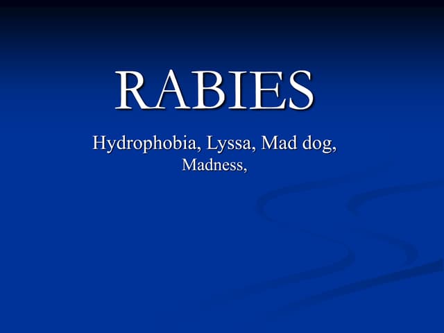 1.RABIES Awareness Presentaion powerpoint | PPTX