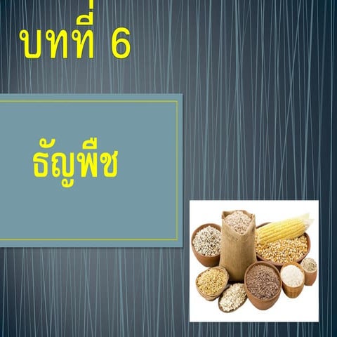 6 rice | PPT