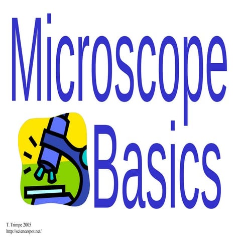 Microscope Basics Powerpoint for 7th Grade | PPTX