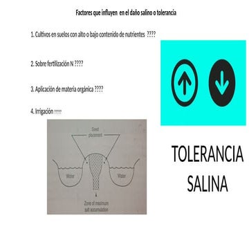 C3. Calculos Encalado en Suelos Agrícolas.pptx