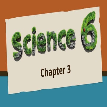 6Sc_4 Lesson 33.pptx jnhfdxcvhu7ytrdfghjkoiuhygfvb | PPTX