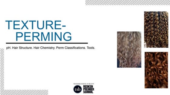 Milady chapter 3 professional image | PPTX