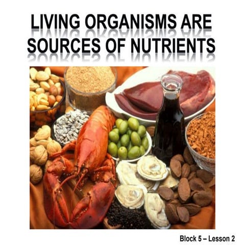 6th - Block 5 - Living Things Are Sources Of Nutrients | PPTX ...