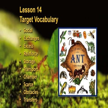 6th - Lesson 14 - The Life and Times of the Ant | PPT