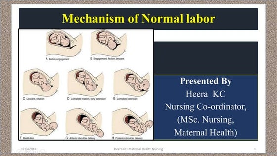 Mechanism of normal labour | PPTX | Pregnancy | Reproductive Health