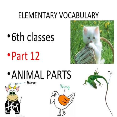 6th animal parts | PPT