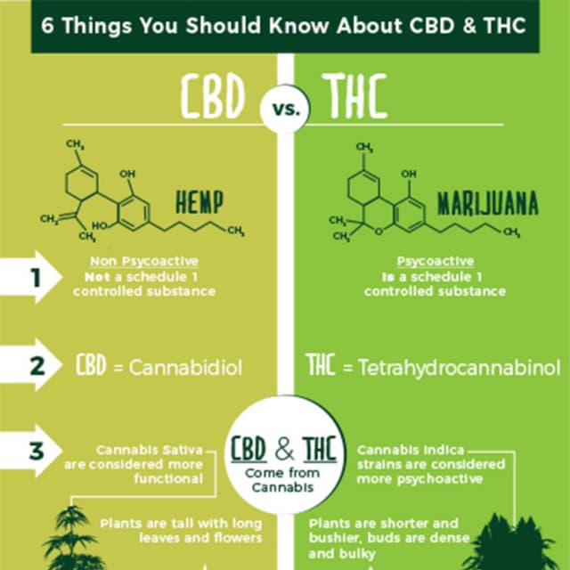 6 things you should know about cbd & thc | PDF