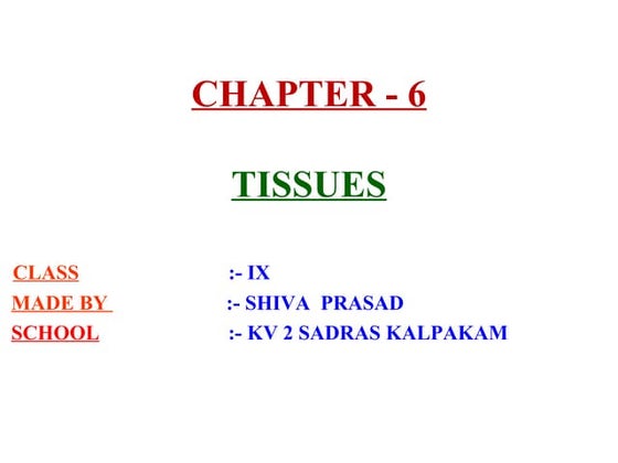 Class 9 tissue chapter 6 | PPT