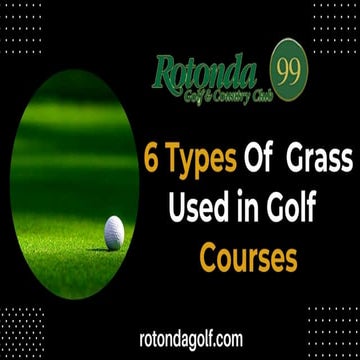 6 Types Of Grass Used in Golf Courses.pptx