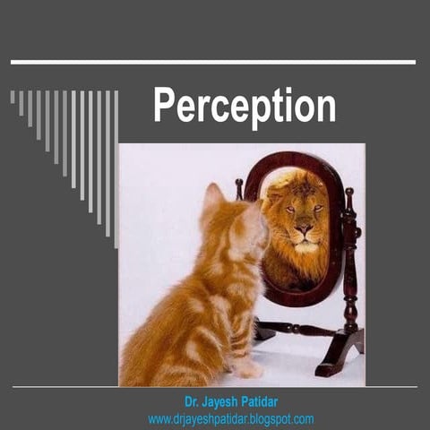Perception | PDF | Science