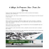6 Ways to Prepare Your Trees for Spring.pdf