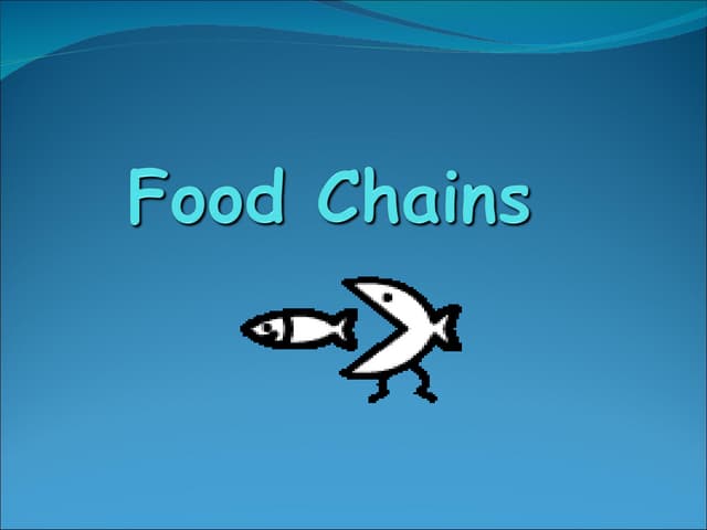 Introduction to Food Chains | PPT