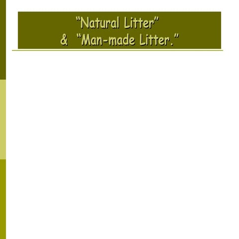 6yr 09 #13 Litter | PPT