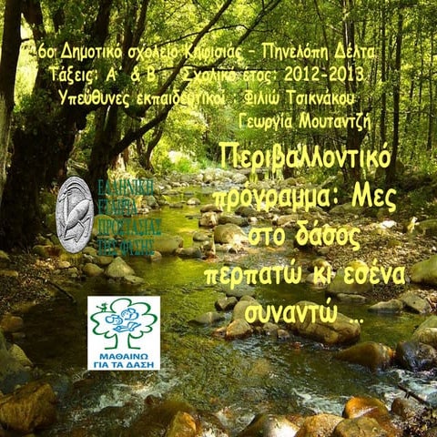 παρουσίαση δάσους 7 10-2013 | PPT