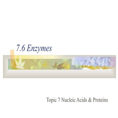 7.6 enzymes | PPT