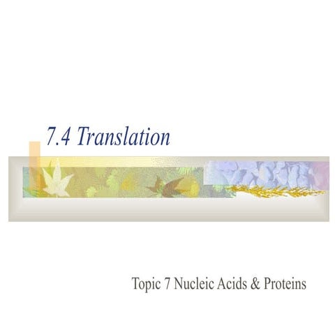 7.4 translation | PPT | Programming Languages | Computing