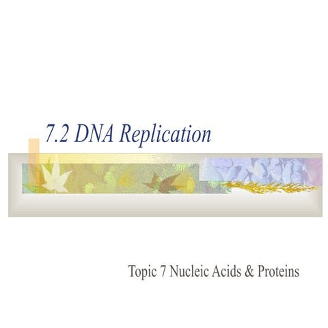 7.2 dna replication | PPT