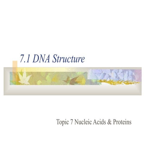 7.1 dna structure | PPT | Biological Sciences | Science