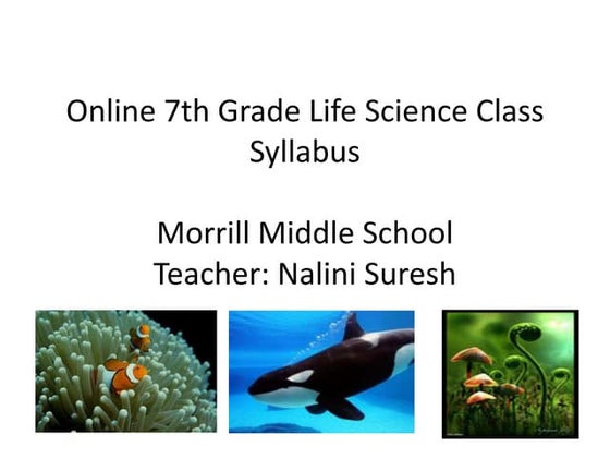 7th grade syllabus | PDF