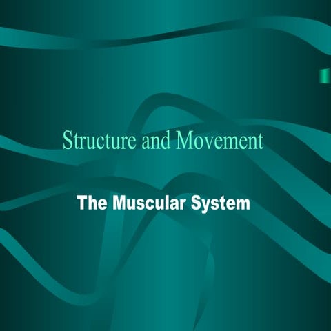 7. muscular system copy | PPT | Death, Injury, or Military Conflict ...