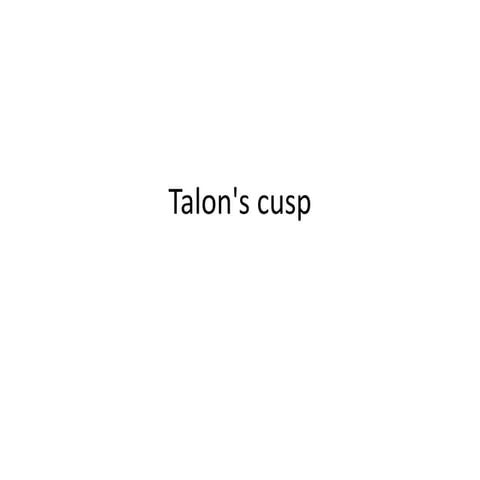 7.talon's cusp | PPTX