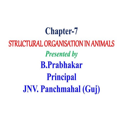 7. structural organisation in animals | PPTX