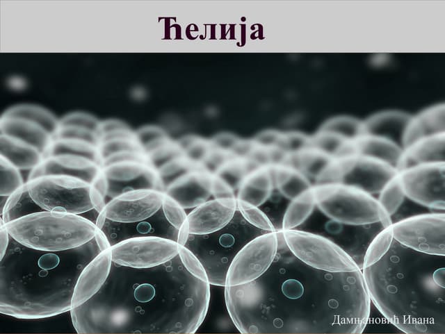 Građa ćelije - 7. razred, Dunja Ercegovčević | PPTX
