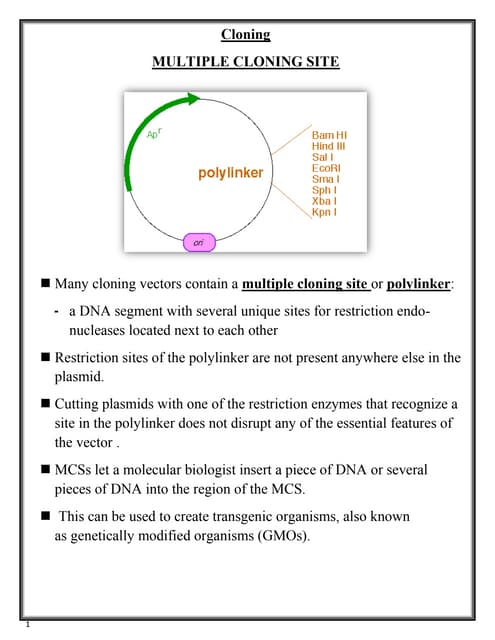 Genetic vectors | PPTX | Chemistry | Science