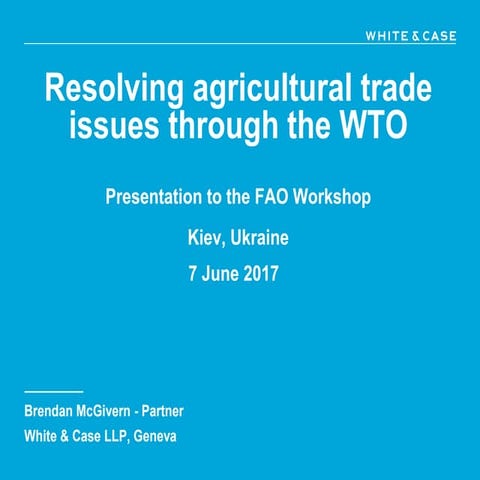 WTO Litigation | PDF