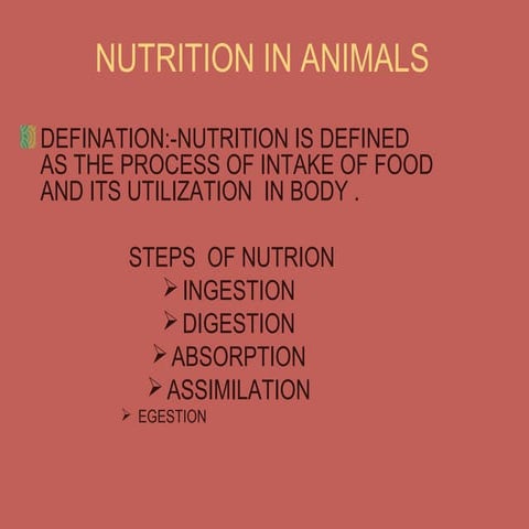 nutrition in animal | PPT