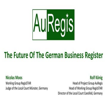 The future of the German Business Register | PDF